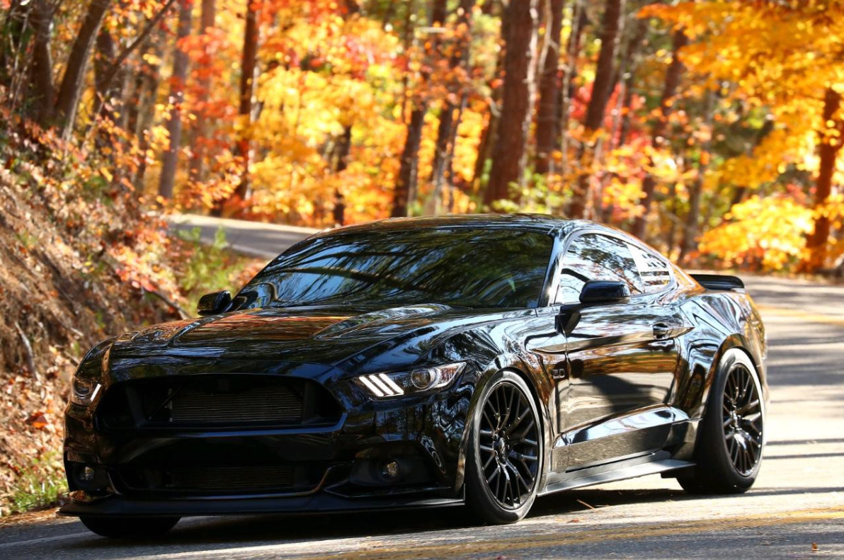 06.17.20 – Chris Priebe Mustang – Northeast Georgia Mustang Club